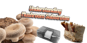 Understanding Mushroom Substrates: From Masters Mix to CVG ...