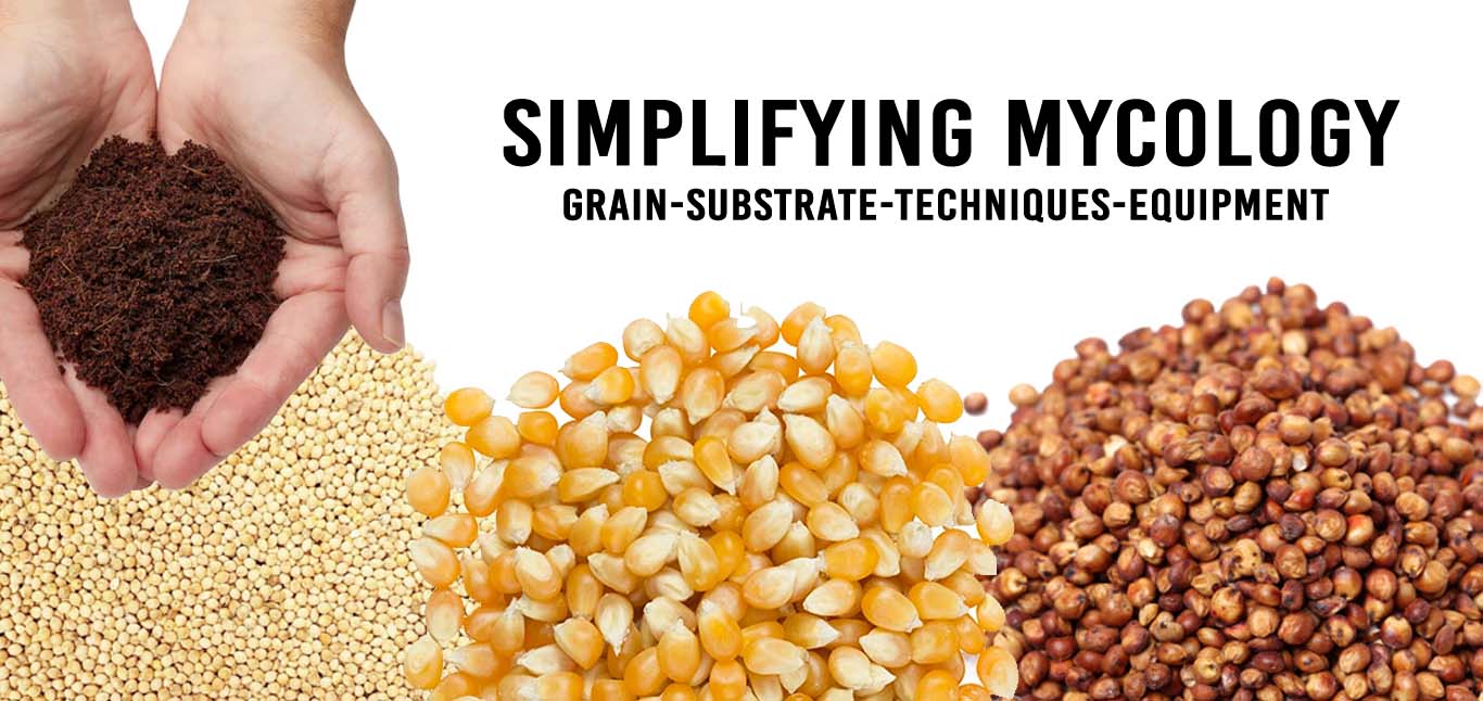Simplifying Mycology – Mycologysimplified