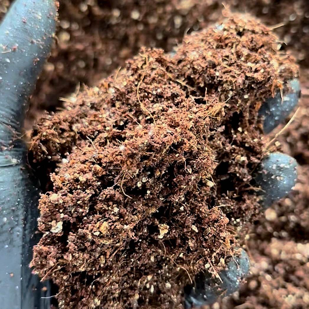 Large Monotub Refill Kit | Sterile Milo & Premium CVG Substrate ...