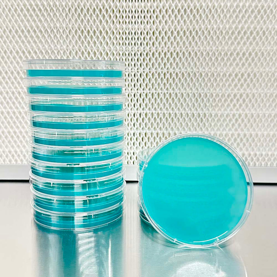 Pre Poured Sorghum Yeast Agar Plates | Optimal Growth Medium for ...