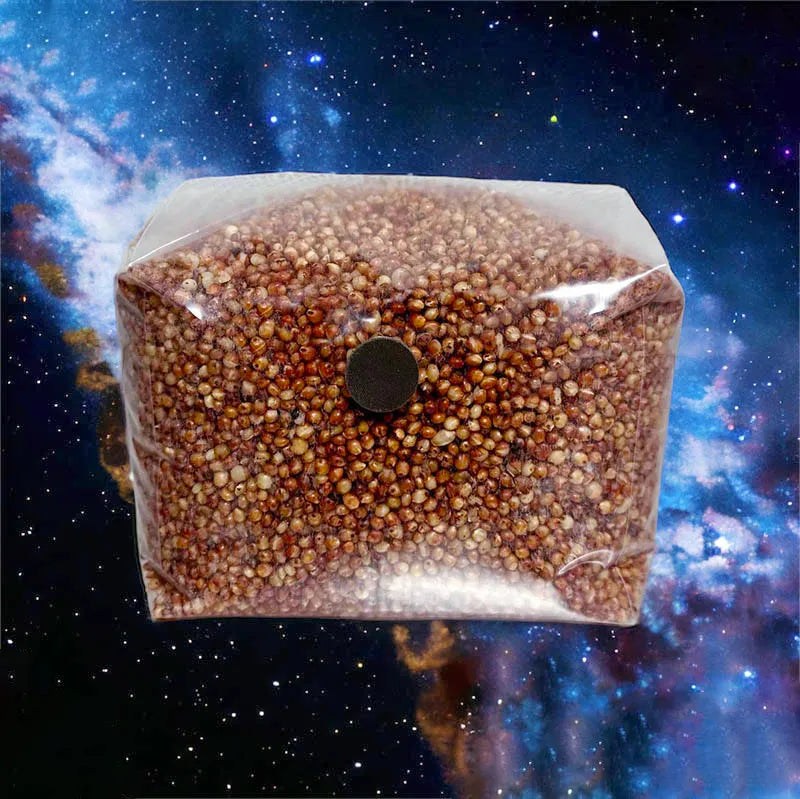 Collections – Mycologysimplified