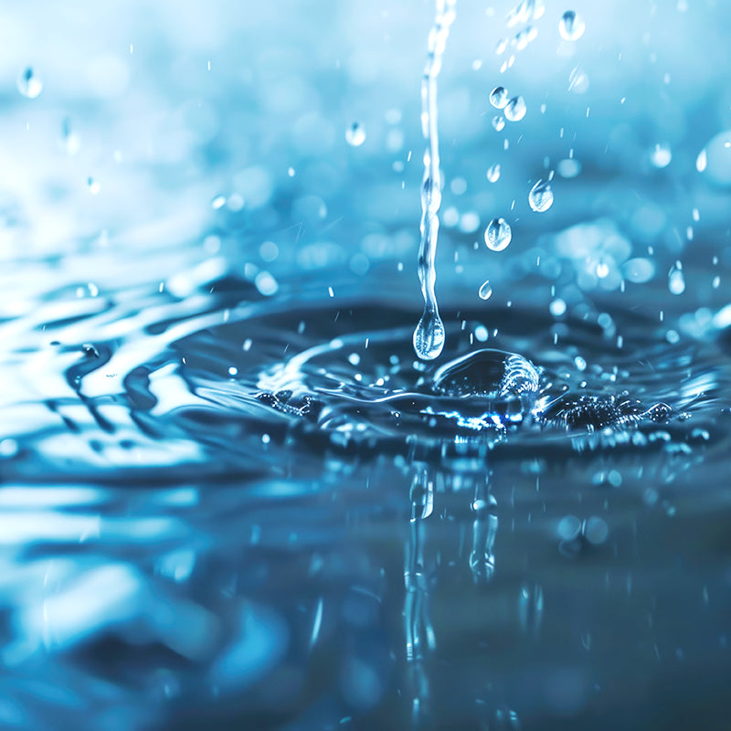 Masters Mix Substrate | Premium Hardwood Substrate – Mycologysimplified