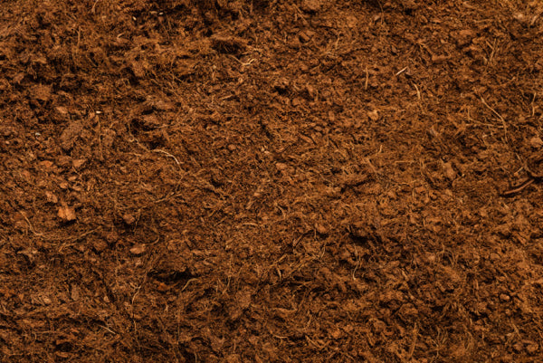 Not So Simple Mushroom Substrate – Hydrated & Sterile for Optimal ...